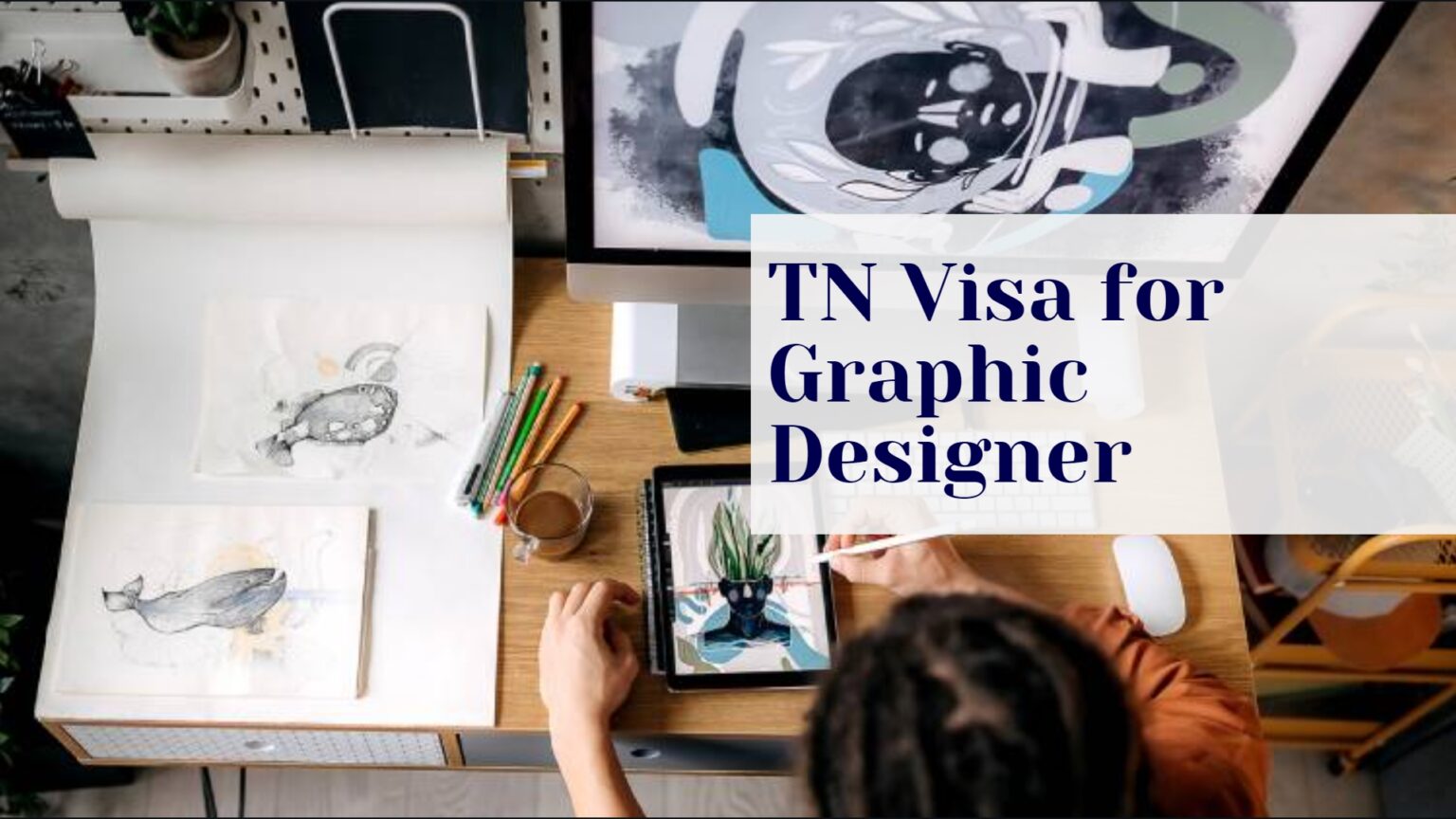 TN Visa for Graphic Designer - TN Visa Expert