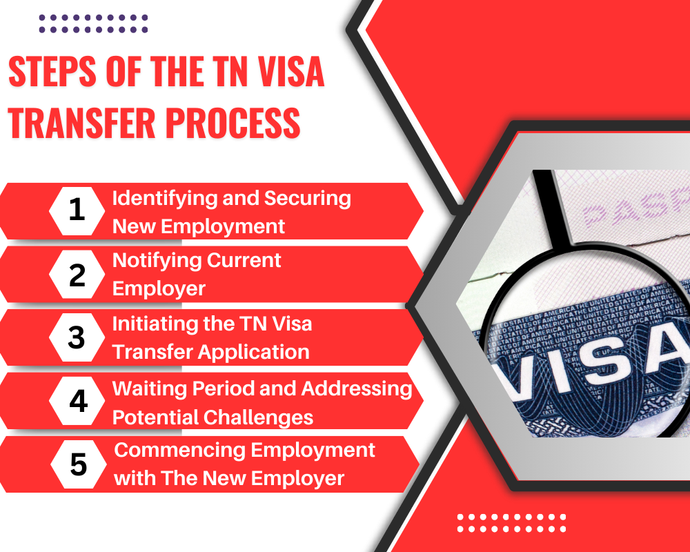 Navigating the TN Visa Transfer Process for New Employers - TN Visa Expert