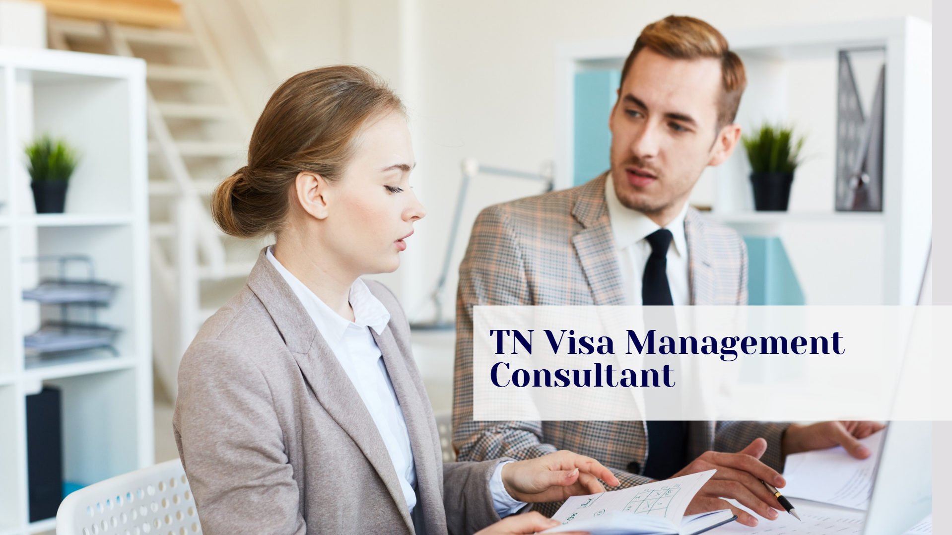 TN Visa Expert: Empowering Canadian and Mexican Professionals to Work ...